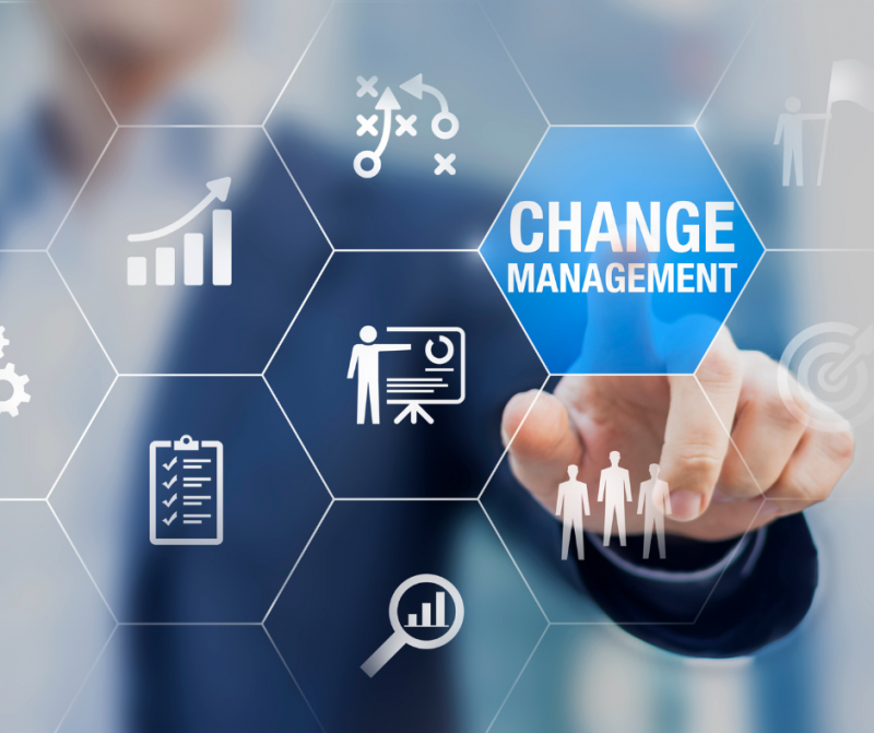 Navigating Change with Confidence: Muià Consulting's Guide to Effective ...